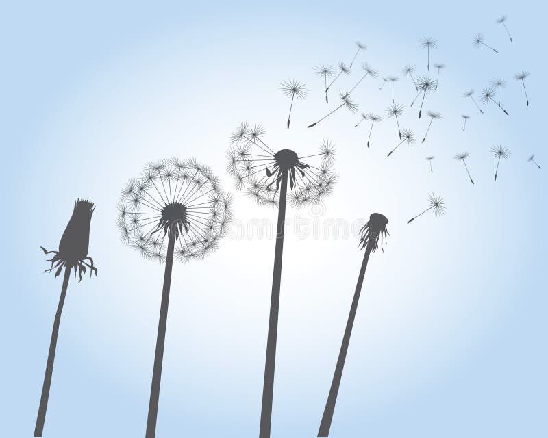 Shape of Vector Dandelion. Outline Illustration Stock Vector ...