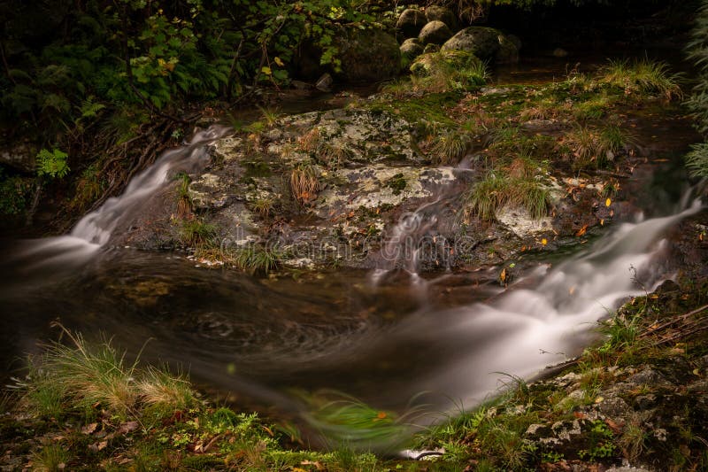Shapes of the Stream of the River Stock Photo - Image of galicia, entre ...