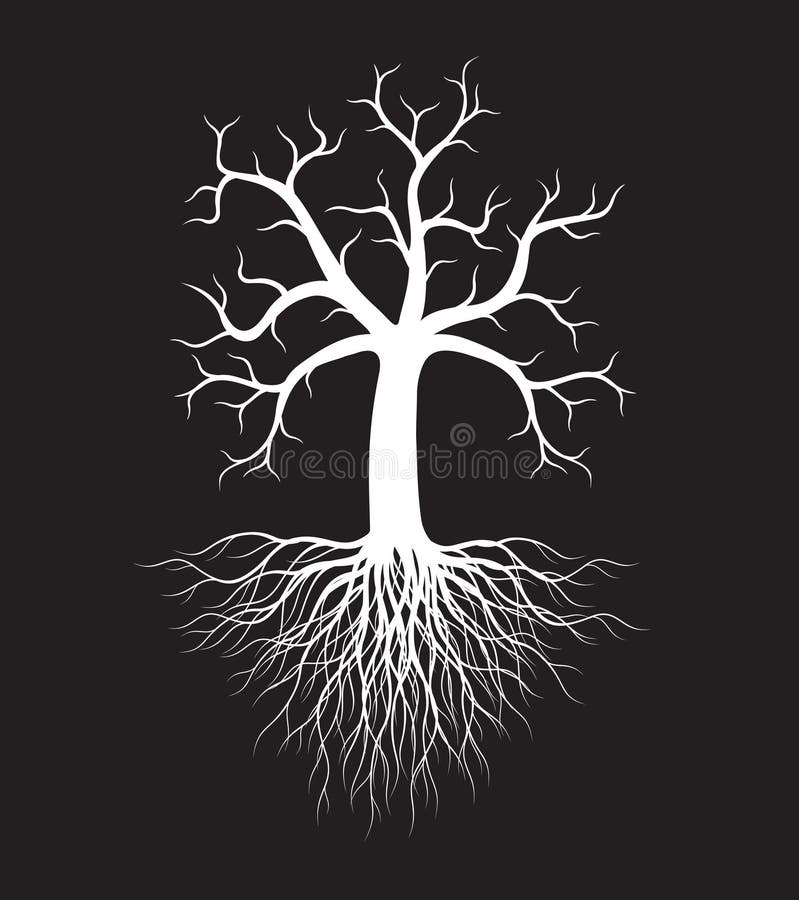 Shape of White Tree with Roots. Vector Outline Illustration Stock ...