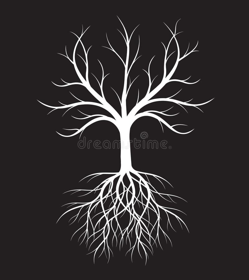 Shape of White Tree with Roots. Vector Outline Illustration Stock ... Shape of White Tree with Roots. Vector Outline Illustration Stock ...