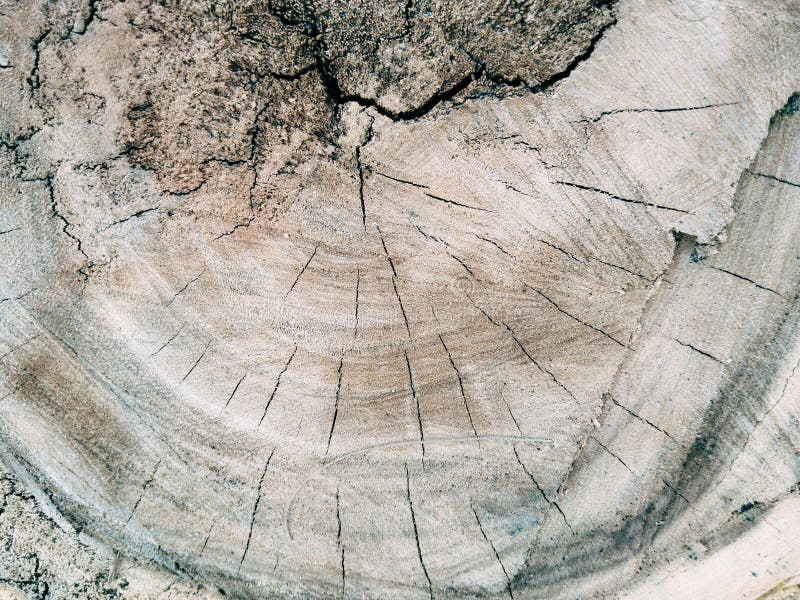 The Shape of the Wood Texture that Has Been Cut, the Shape is Beautiful ...