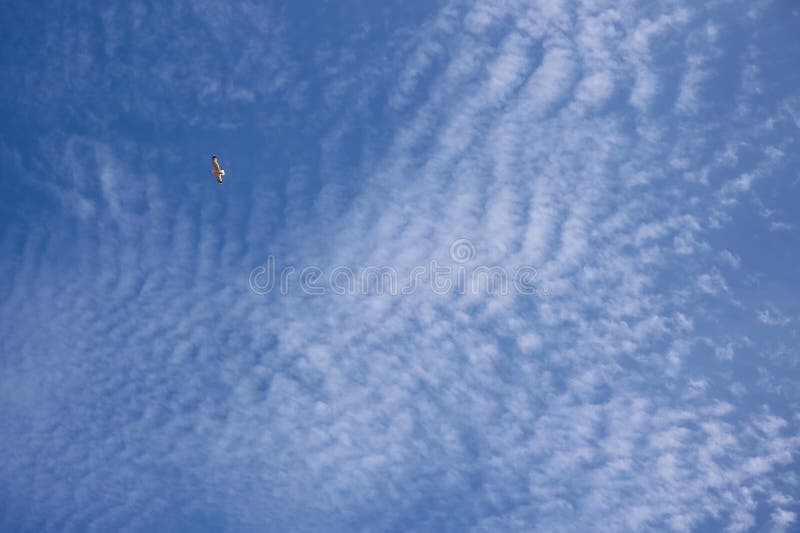 Shaped Clouds in the Sky stock photo. Image of shaped - 318656850