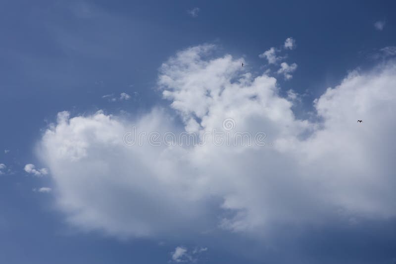 Shaped Clouds in the Sky stock image. Image of ocean - 318657241