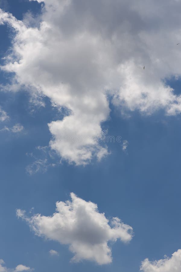 Shaped Clouds in the Sky stock photo. Image of cloud - 322654920
