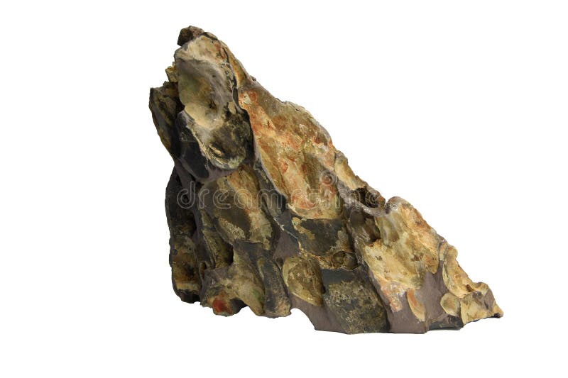 Shaped Dragon Stone Rock with Detailed Textures and Deep Grooves ...