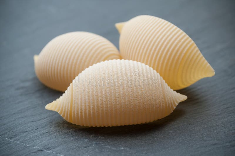 Shaped Seashell Pasta on Chalkboard Background Stock Image - Image of ...