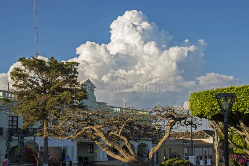 Trees and Clouds in a Mexican Town Editorial Stock Image - Image of ...