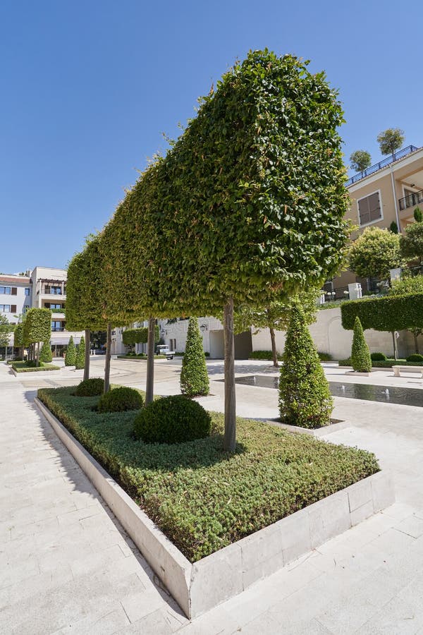 275 Formal Rectangular Photos - Free & Royalty-Free Stock Photos from ...