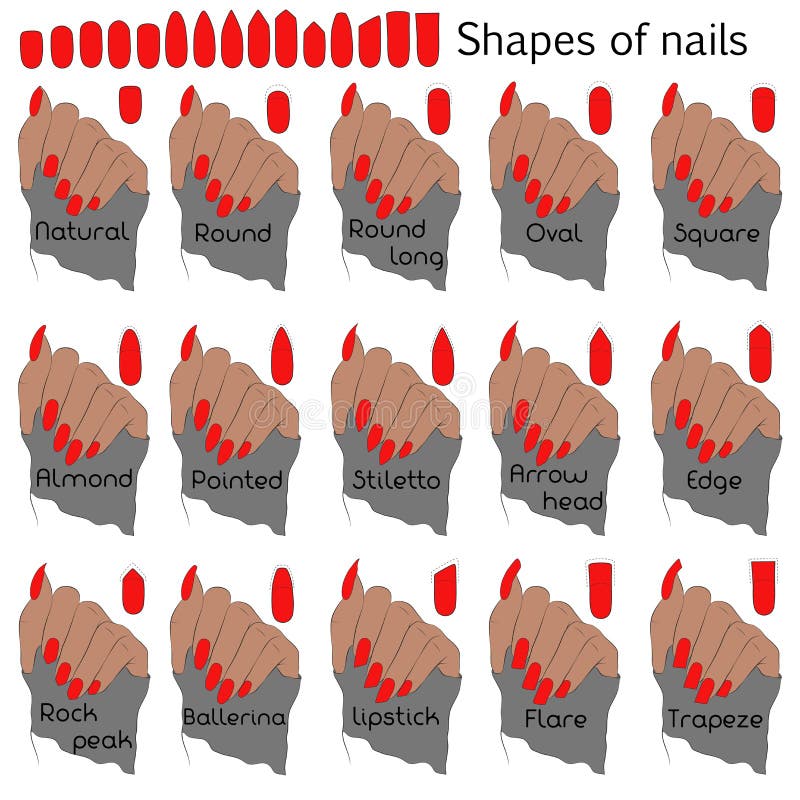 Shapes of Nails. Color Illustration for Professional Manicure with ...