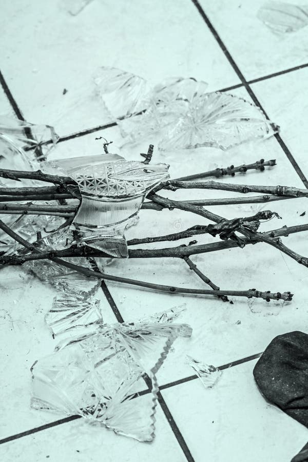 Broken Vase Stock Photos - Download 1,433 Royalty Free Photos