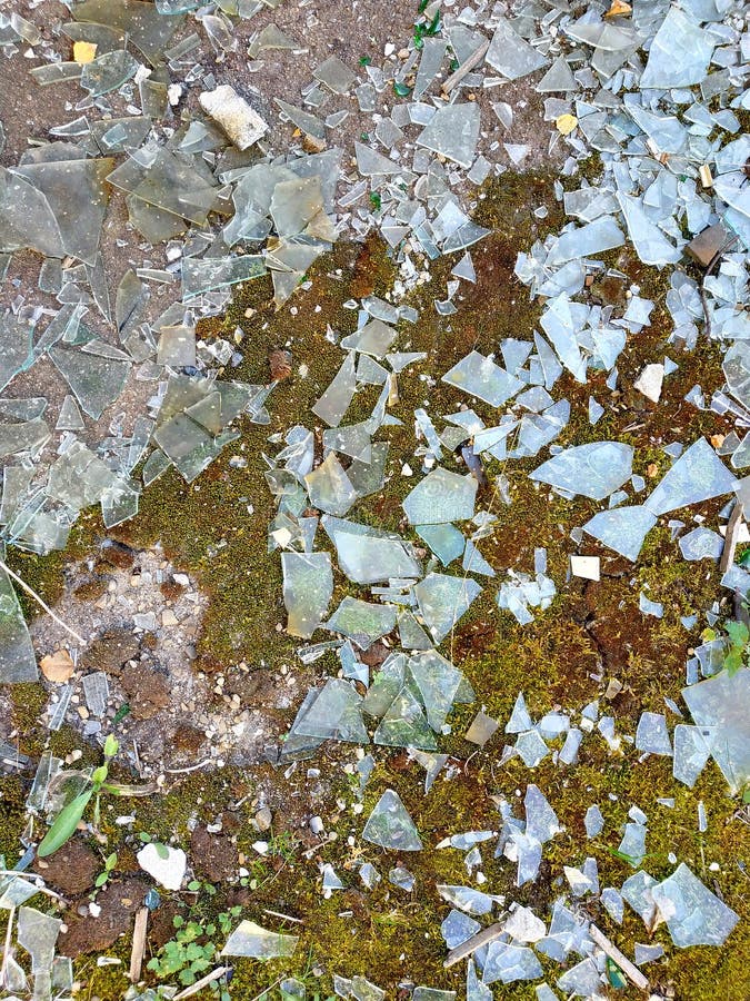 Shards of broken glass stock image. Image of fine, pavement - 42031809