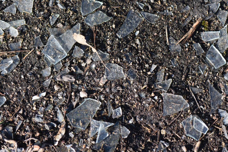 Shards of Glass on the Ground Stock Image - Image of clouds, deer ...