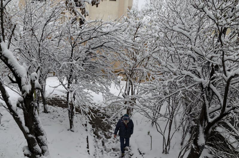 Heavy Snowfall, Very Heavy Snow Fell.. Editorial Stock Image - Image of ...