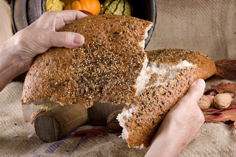 Sharing bread stock photo. Image of gourd, meal, ingredients - 3366886