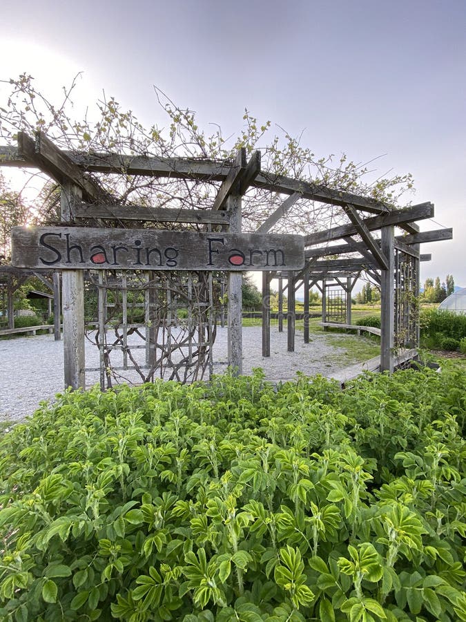 Sharing Farm editorial image. Image of sharing, plants - 218502550