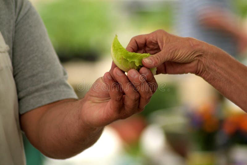 Sharing food stock image. Image of giving, give, farmers - 9481153