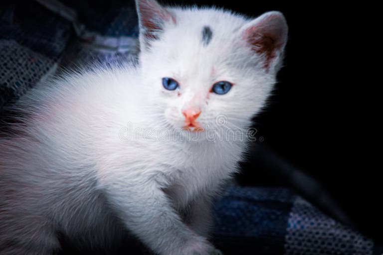 Sharingan Stock Photos - Free & Royalty-Free Stock Photos from Dreamstime