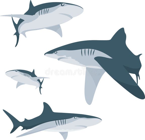 Remora Fish Shark Stock Illustrations – 32 Remora Fish Shark Stock ...