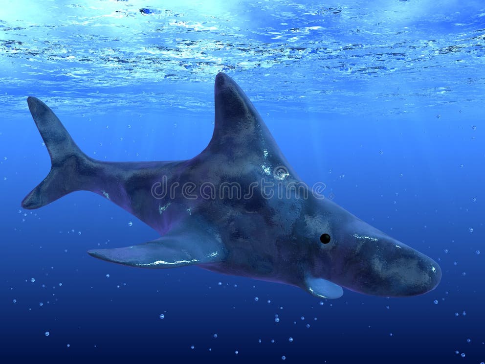 Shark Profile Stock Illustrations – 252 Shark Profile Stock ...