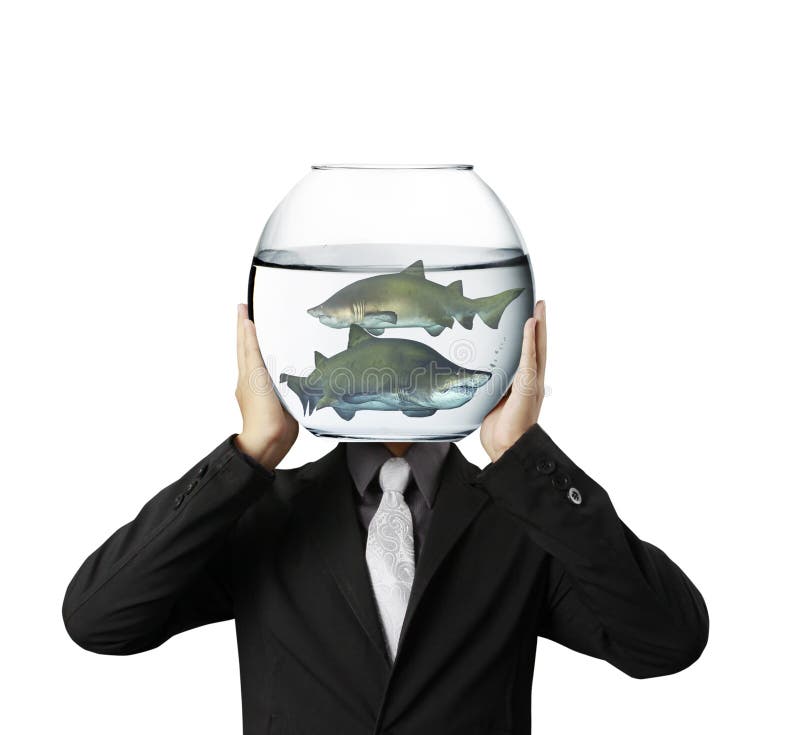 Shark Hand Motion Stock Photos - Free & Royalty-Free Stock Photos from ...