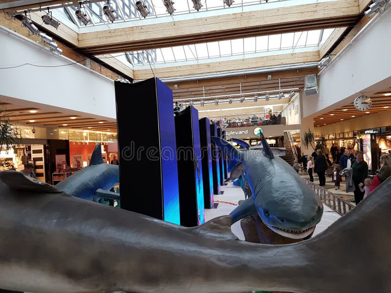 Shark attack editorial stock image. Image of shark, sharks - 79387949