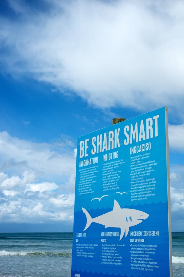 Shark warning flag stock image. Image of muizenberg, shoreline - 12471839