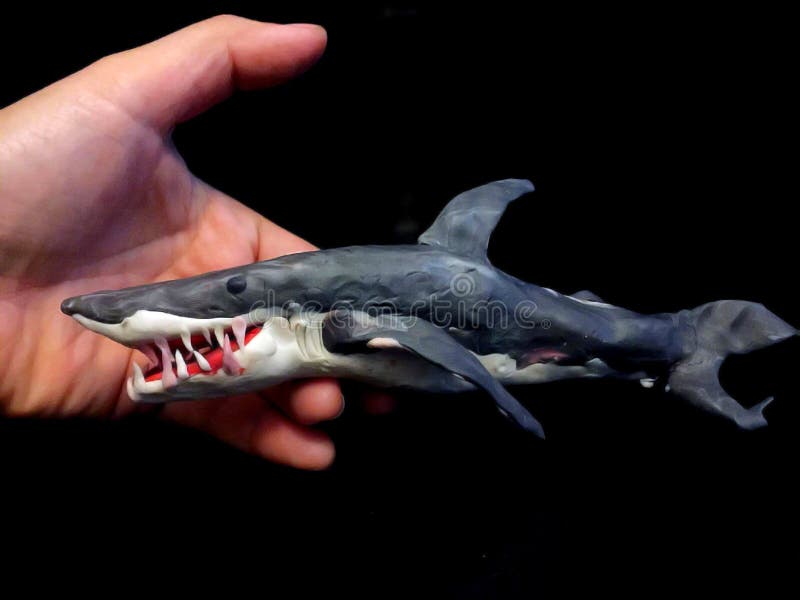 Shark Clay Model stock photo. Image of form, kids, craftsmsnship - 88153028