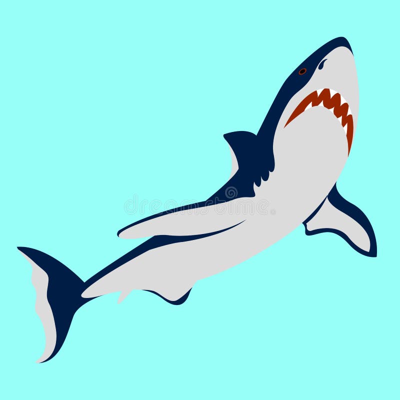 Shark Profile Stock Illustrations – 260 Shark Profile Stock ...