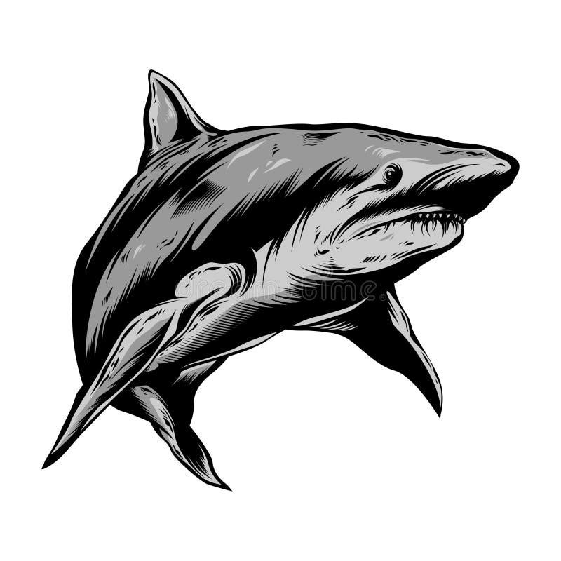 Shark design stock vector. Illustration of banner, silhouette - 45626098