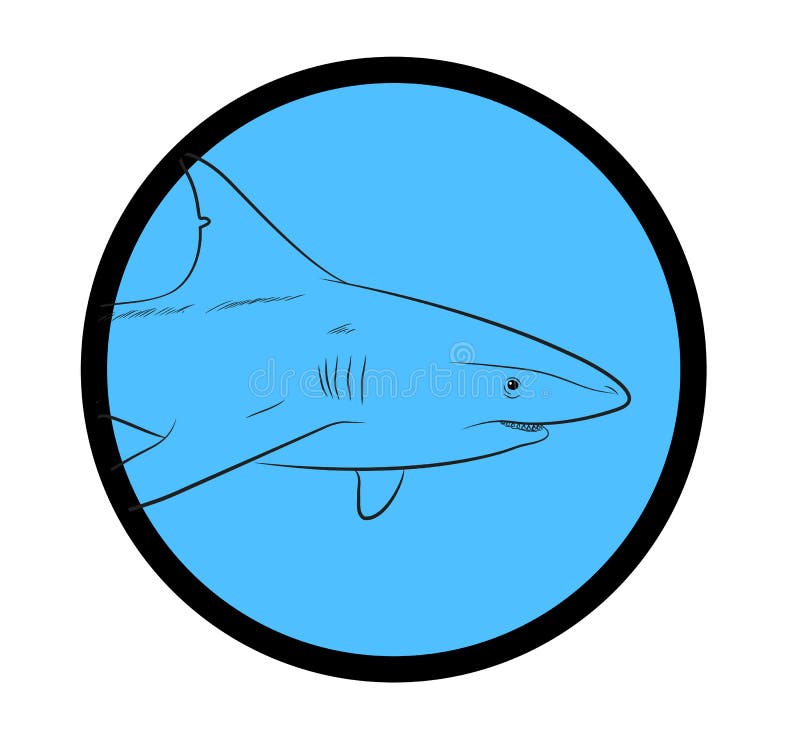 Shark Face Closeup Vector stock vector. Illustration of predator ...