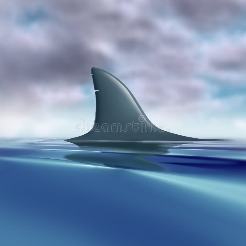 Shark Fin Above Water Royalty Free Stock Images - Image: 19049249
