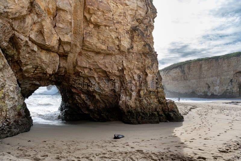 Shark Fin Cove Beach in California Stock Photo - Image of santa, cove ...