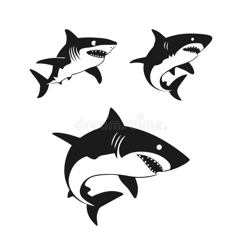 Shark Fish Illustrations and Vectors Icon for Website or Print Stock ...