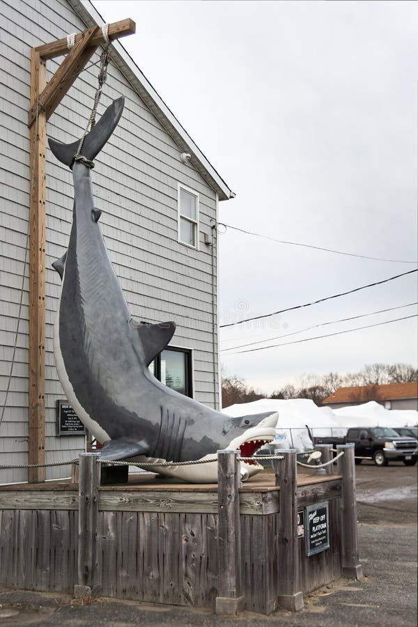 A Shark Hangs in Front of a Store on the Highway Editorial Photo ...
