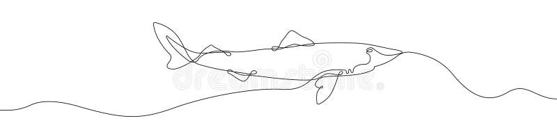 Continuous Shark Stock Illustrations – 160 Continuous Shark Stock ...