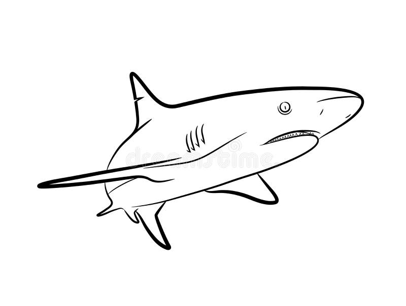 Dogfish Stock Illustrations – 73 Dogfish Stock Illustrations, Vectors ...