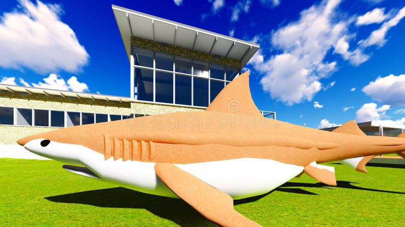 Shark lying on the ground stock photo. Image of windows - 61798278