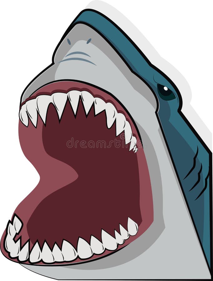 Shark open mouth stock vector. Illustration of murderer - 89560692