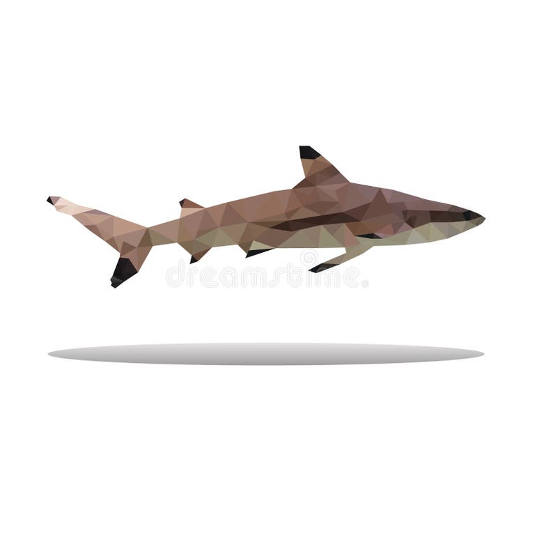 Polygon Shark Stock Illustrations – 409 Polygon Shark Stock ...