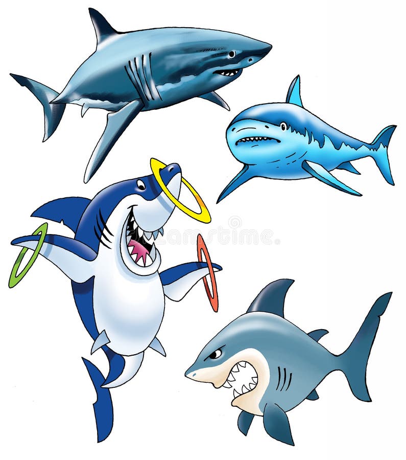 Shark Predator Fish Sharp Teeth Gills of an Ancient Animal Symbol ...