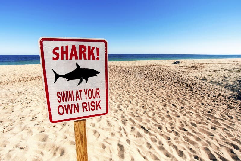 Shark Sighted Sign stock photo. Image of horizontal, ocean - 49041070 Shark Sighted Sign stock photo. Image of horizontal, ocean - 49041070