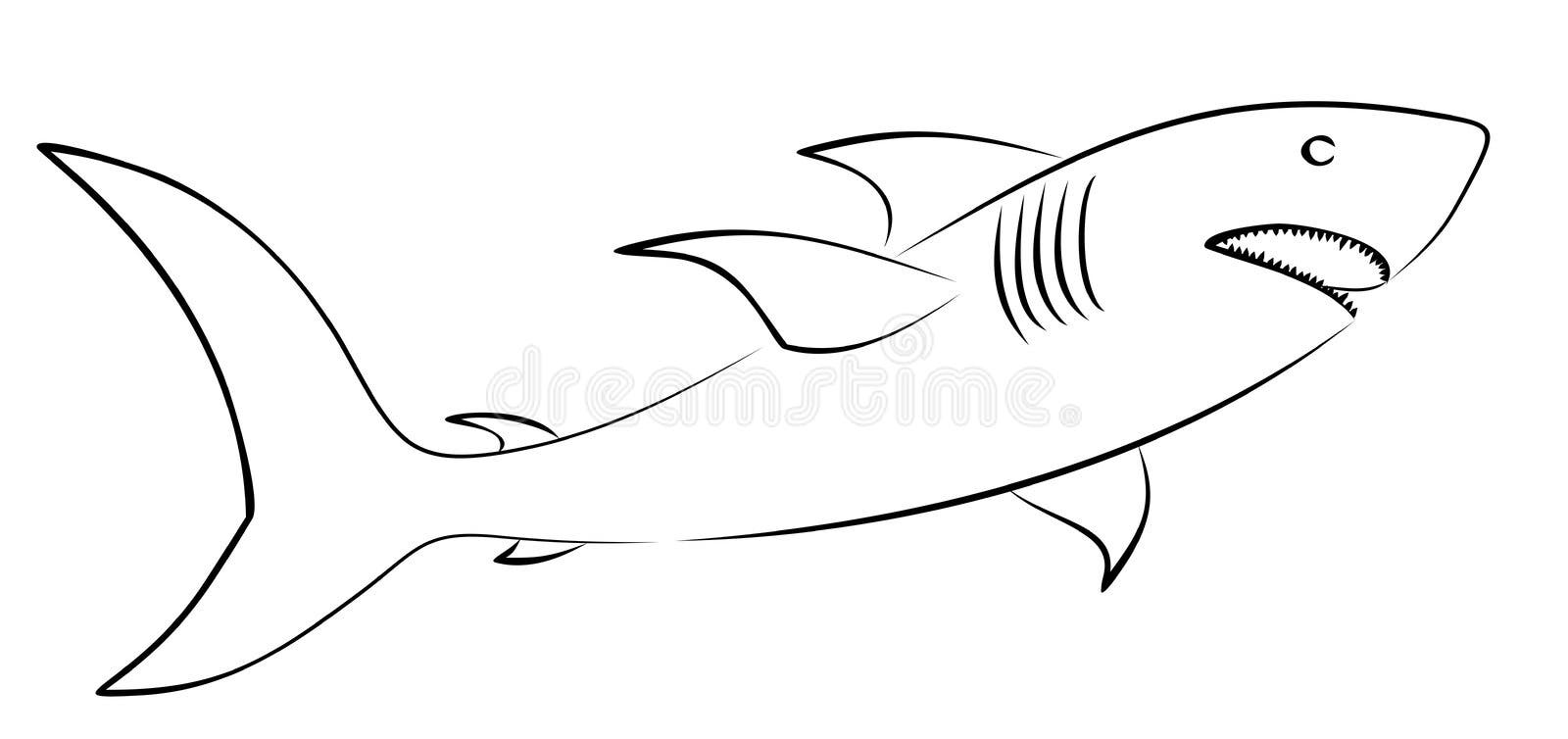 Great White Shark Side View 3D Illustration Stock Illustration ...
