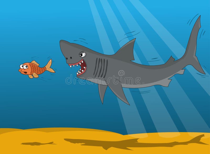 Shark and small fish stock vector. Illustration of predator - 22150026