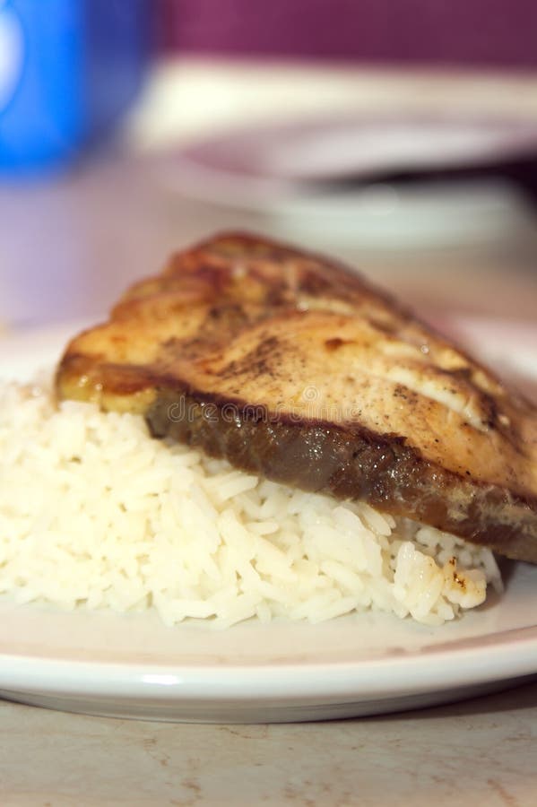 Shark steak with rice stock photo. Image of lunch, sauce - 45565114