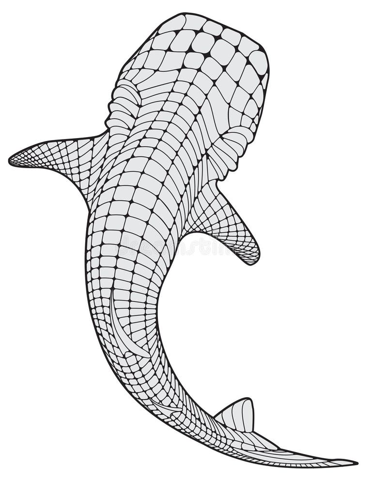 Stylized Swimming Sea Tiger Shark Stock Illustrations – 7 Stylized ...