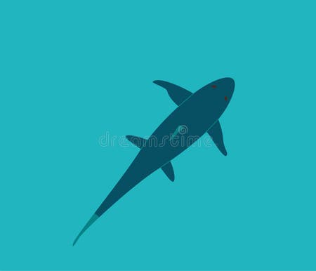 Shark Swim in the Water, Top View. Vector Illustration Stock ...