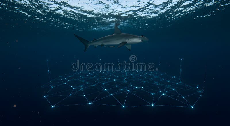 Oceanic Shark Encounter: a Technological Dive into the Deep Sea Stock ...