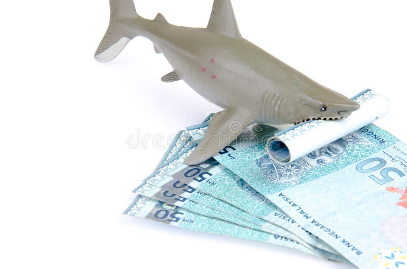 Shark toy and money stock image. Image of banking, poor - 40793409