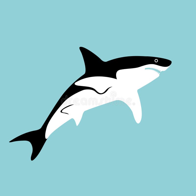 Shark Profile Stock Illustrations – 260 Shark Profile Stock ...
