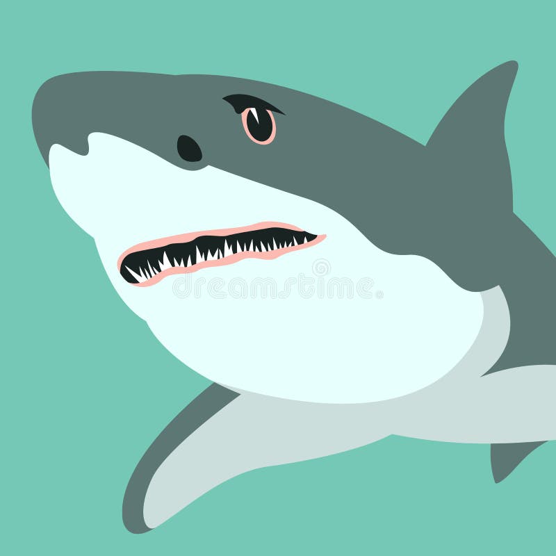 Cartoon Shark Profile Stock Illustrations – 102 Cartoon Shark Profile ...